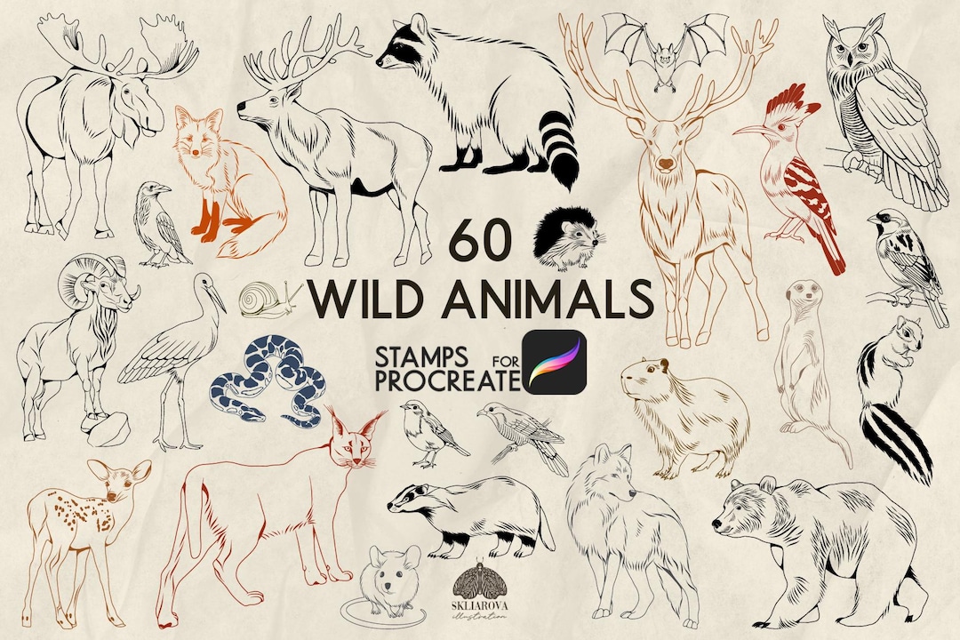 Animals Stamps for Procreate: 60 Wild Life Line Art Brushes (procreate ...