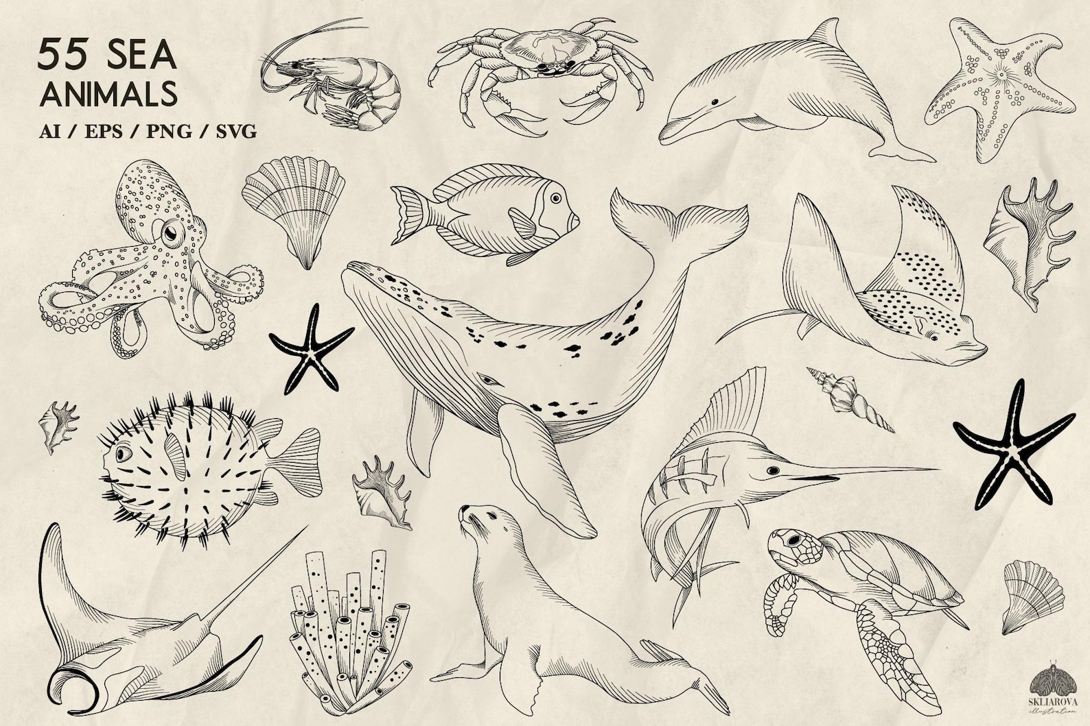 Sea Animals Line Art SVG Bundle: 55 Marine Life Illustrations ( + PNG ...