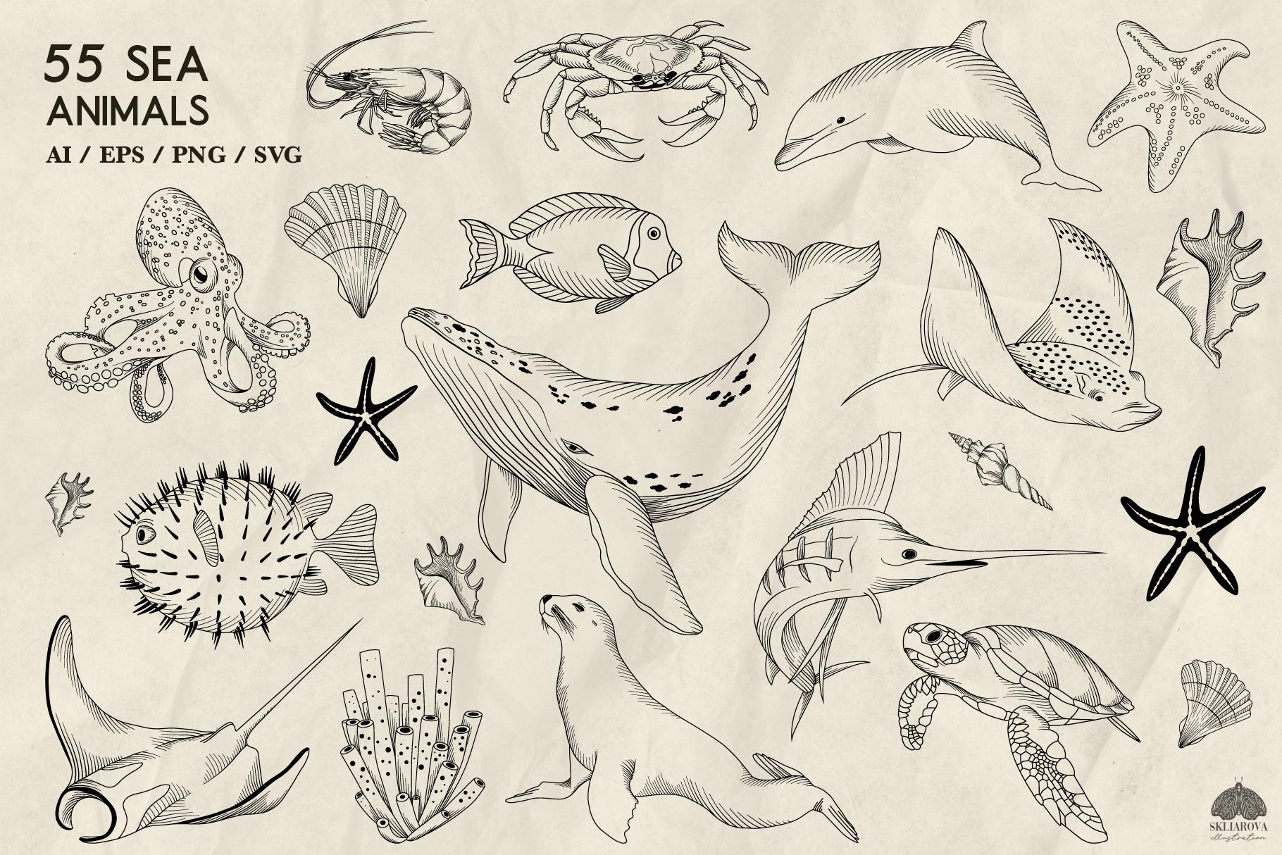 Sea Animals Line Art SVG Bundle: 55 Marine Life Illustrations ( + PNG ...
