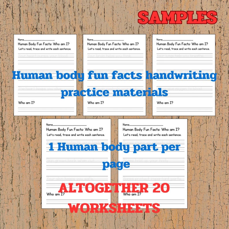 Human Body Fun Facts Handwriting Practice, Body Parts Learning ...
