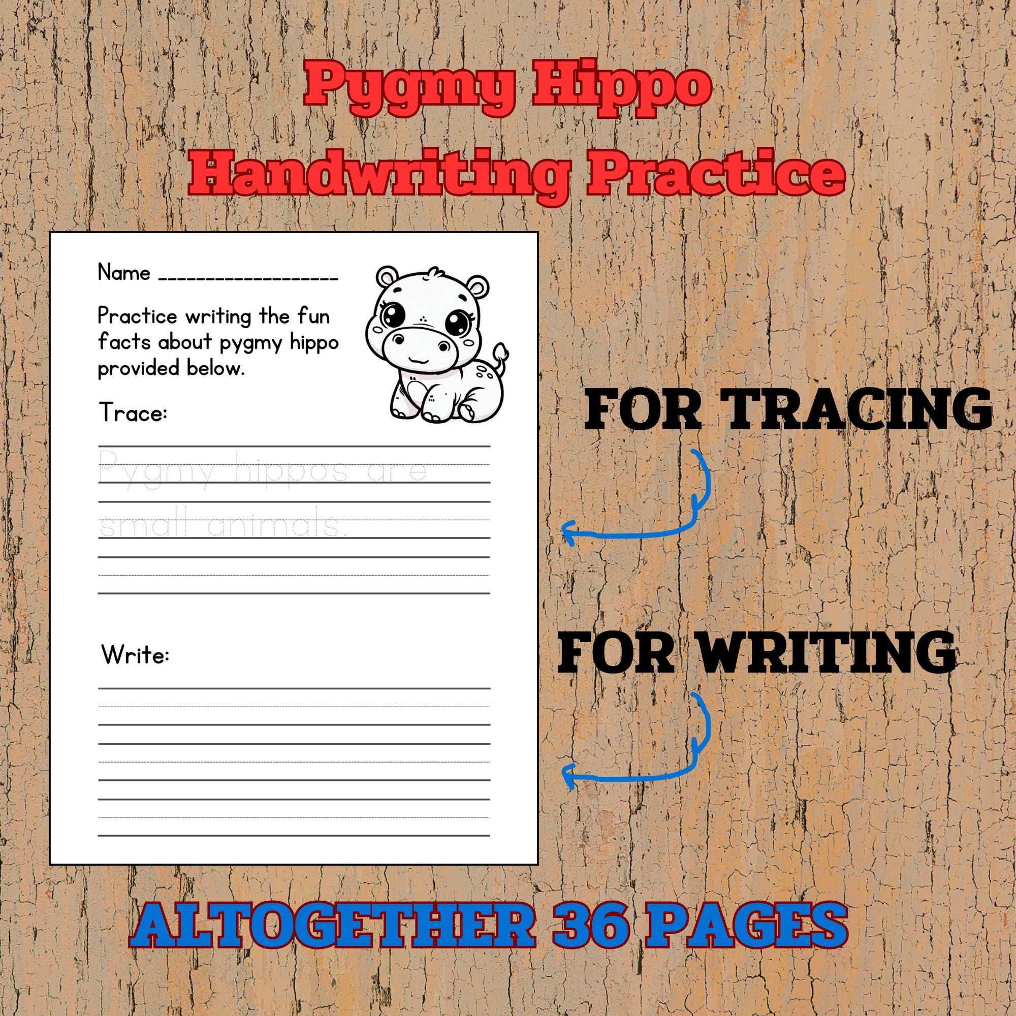 Pygmy Hippo Fun Facts Handwriting Practice, Printable Handwriting ...