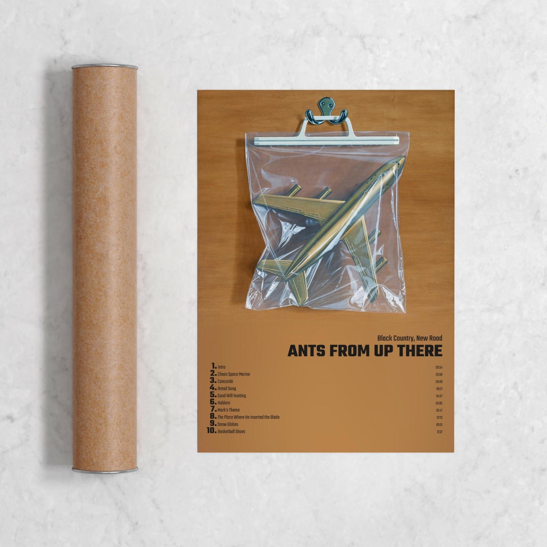 Black Country New Road Ants From up There Album Cover Poster - Etsy UK