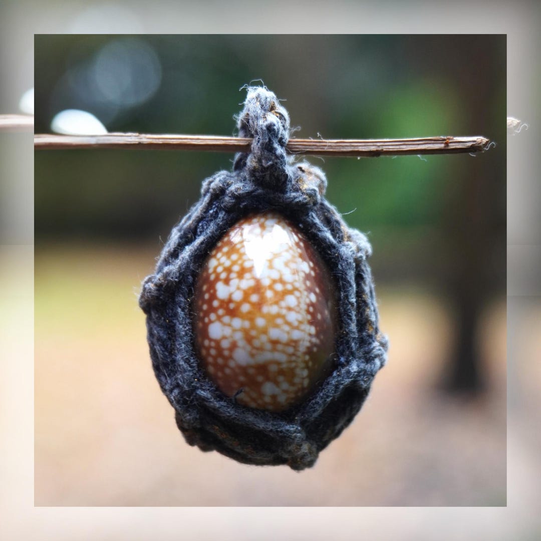 Thai Amulet | Bia Gae | Cowrie Shell With Takrut | Thai Protective ...