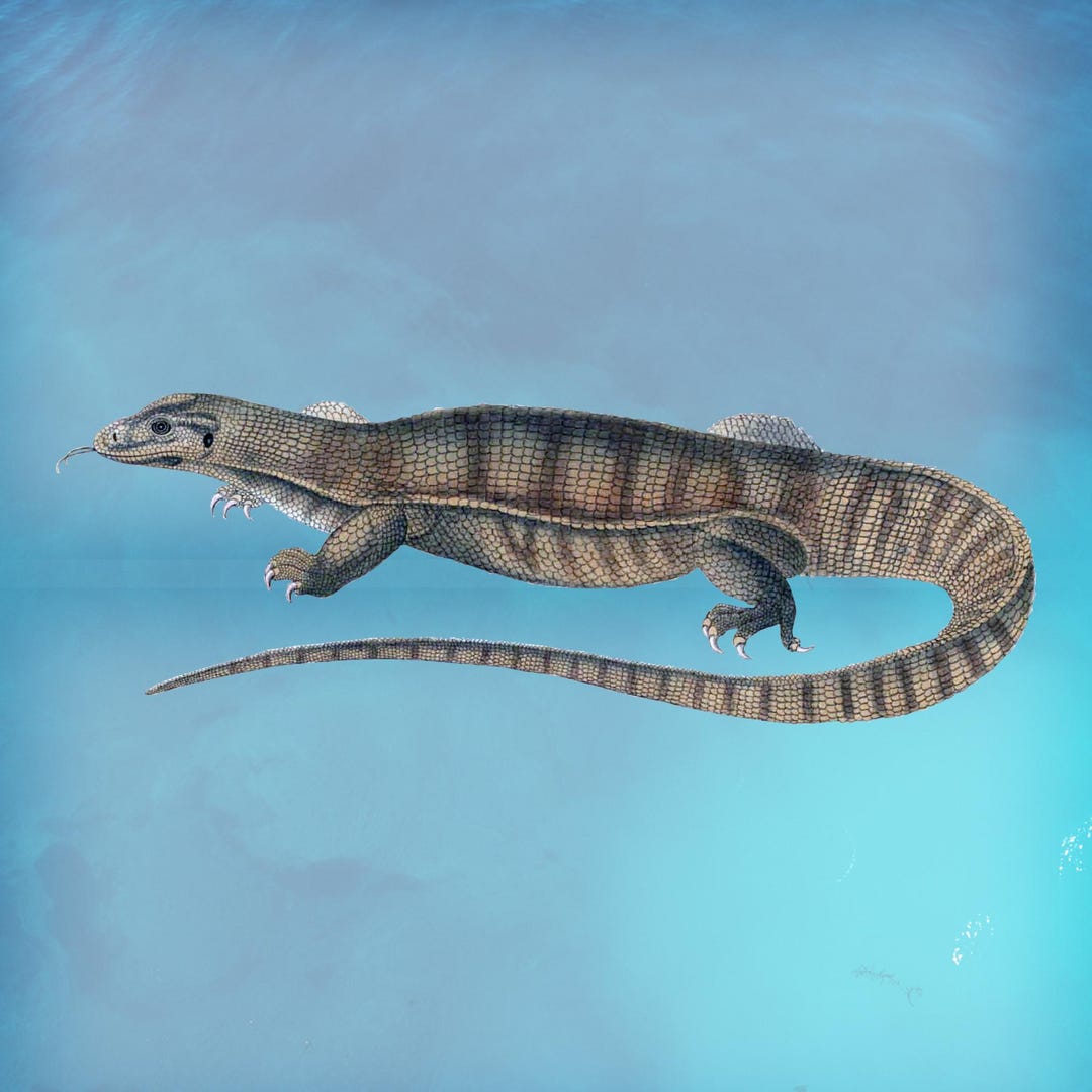 Monitor Lizard PNG | Bangkok Lumphini Park Varan | Digital File for ...