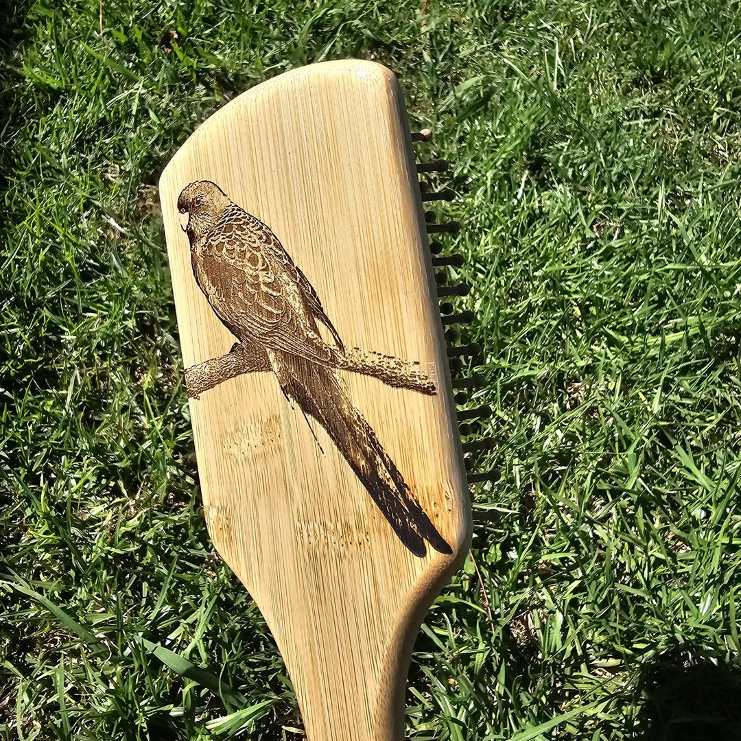Crimson Rosella Australian Native Engraved Bamboo Hairbrush Paddle ...