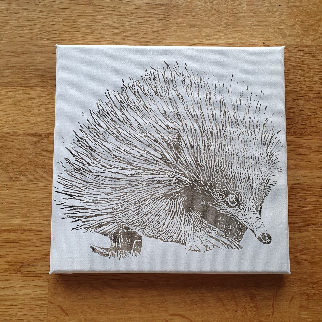 Echidna NATIVE AUSTRALIAN ANIMAL Engraved Canvas Art 20cmx20cm - Etsy