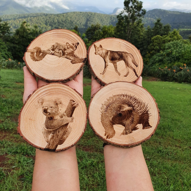 Australian Native Animal Mammal Coaster Set Koala, Dingo, Echidna ...