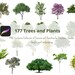 Procreate: 177 Trees and Plants PNG, Exclusive Collection of Cutouts ...