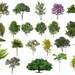 Procreate: 177 Trees and Plants PNG, Exclusive Collection of Cutouts ...