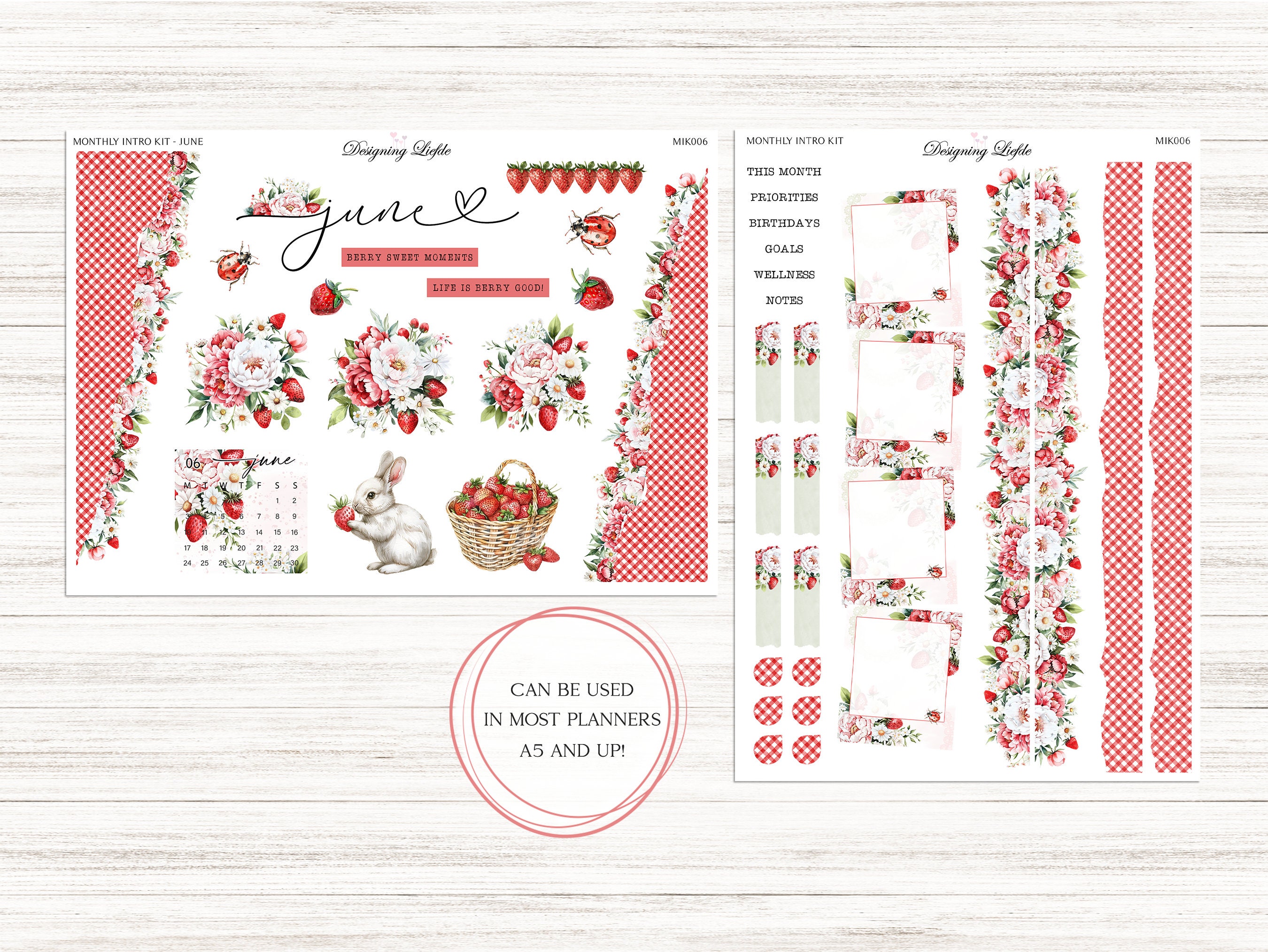 June Monthly Intro Kit / Dashboard Monthly Printable Planner Sticker ...