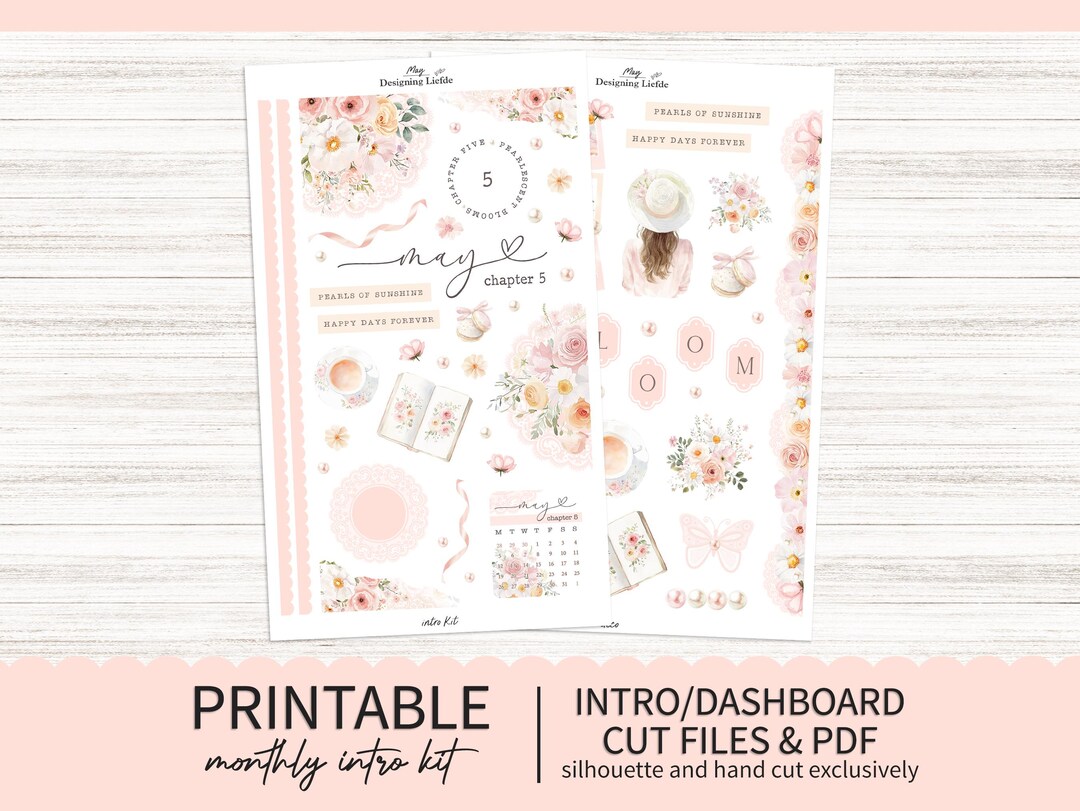 Printable May Monthly Intro Kit / Dashboard Monthly Planner Sticker Kit ...