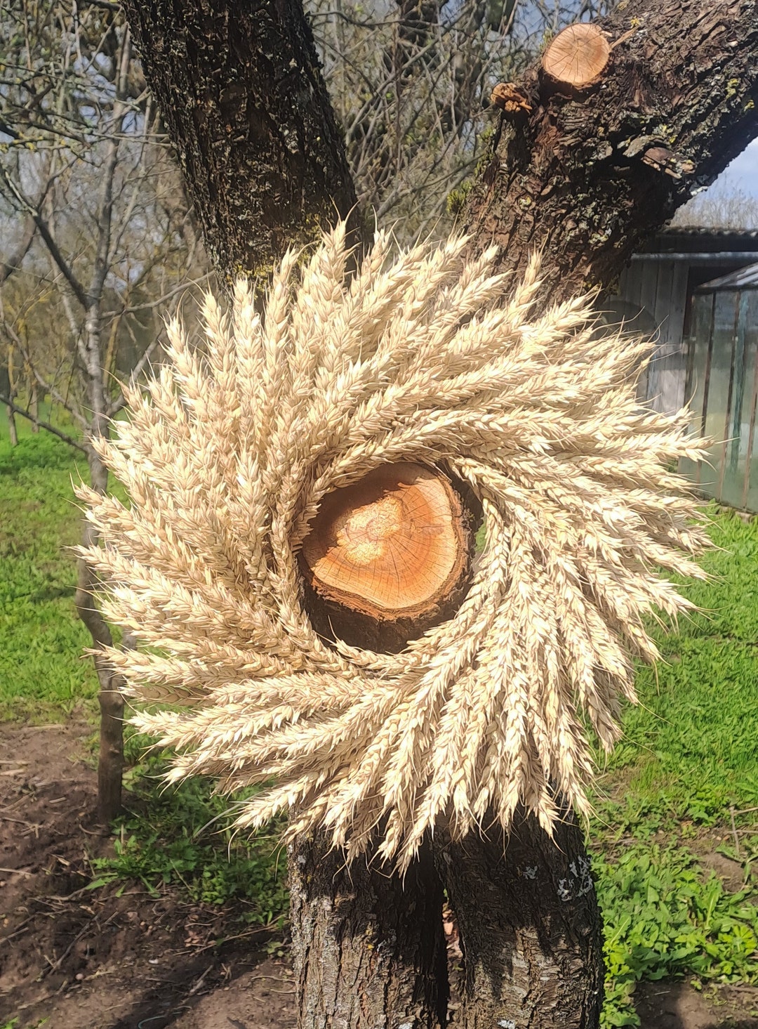 Rustic Wreath Decorative Dried Wheat Wreath Door Decor Crown Dried ...