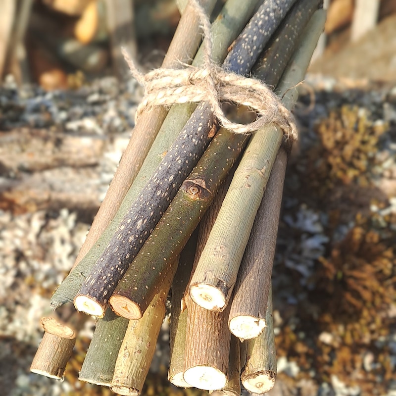 Decorative Sticks - Etsy