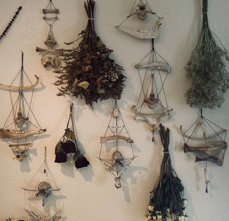 Real Bone Wall Art. Natural Animal Bone. Witchcore Home Decor. Vulture ...