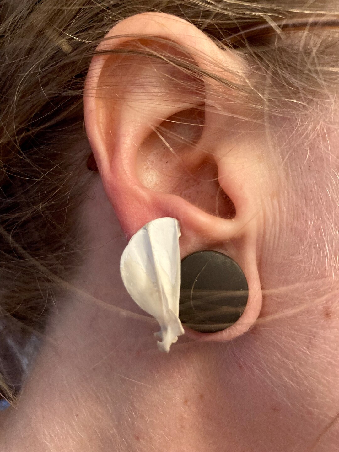 Squirrel Scapula Earrings. Tiny Scapula. Real Animal Bone Earrings ...