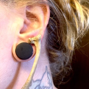 Rib Bone Stud Earrings. Real Animal Bone Earrings. Handmade Nature ...