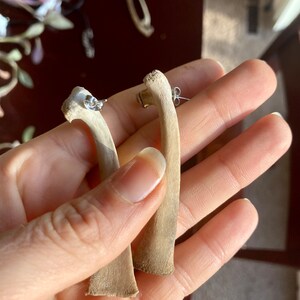 Rib Bone Stud Earrings. Real Animal Bone Earrings. Handmade Nature ...