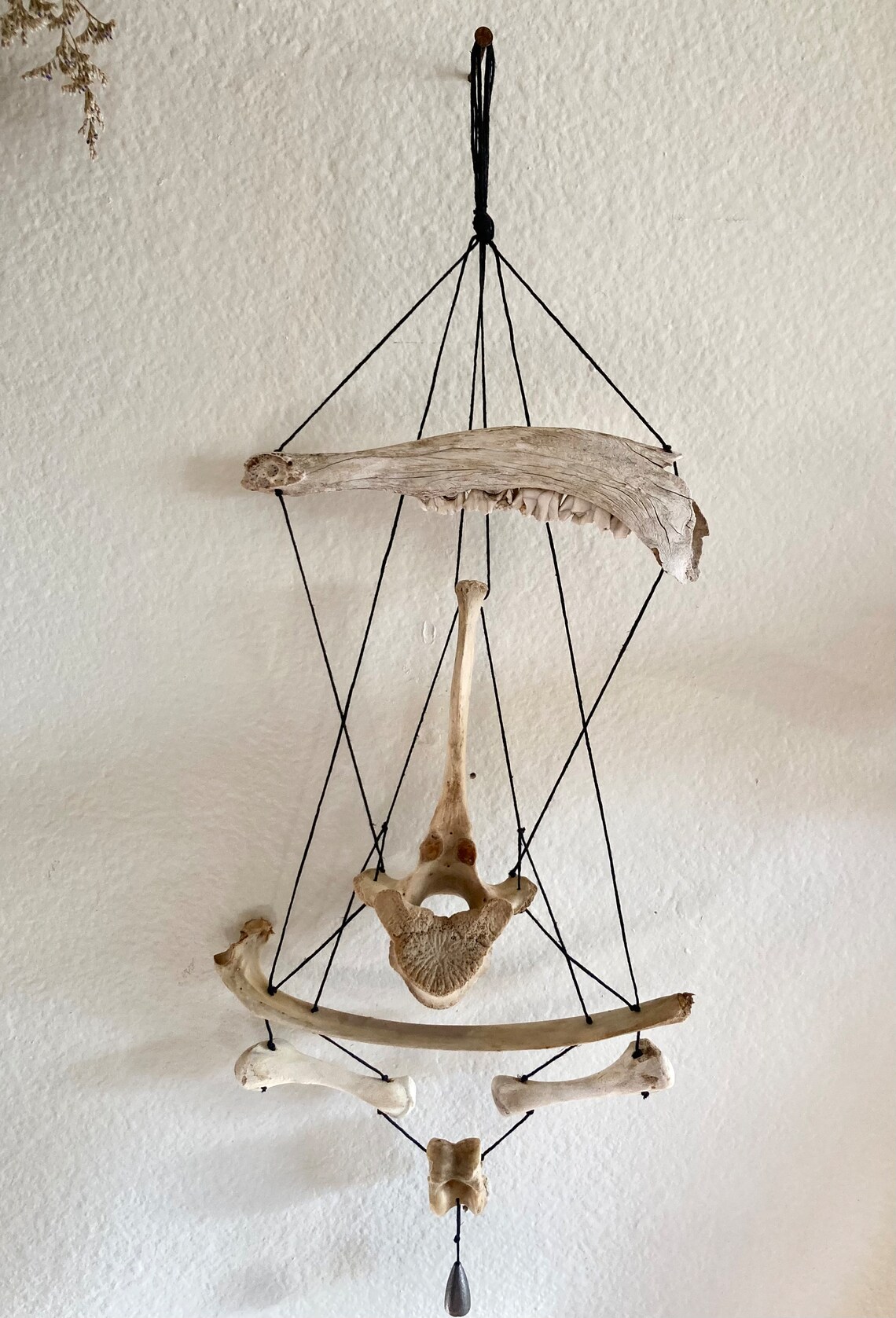 Real Animal Bone Wall Art. Natural Bone. Witchcore. Handmade Art ...