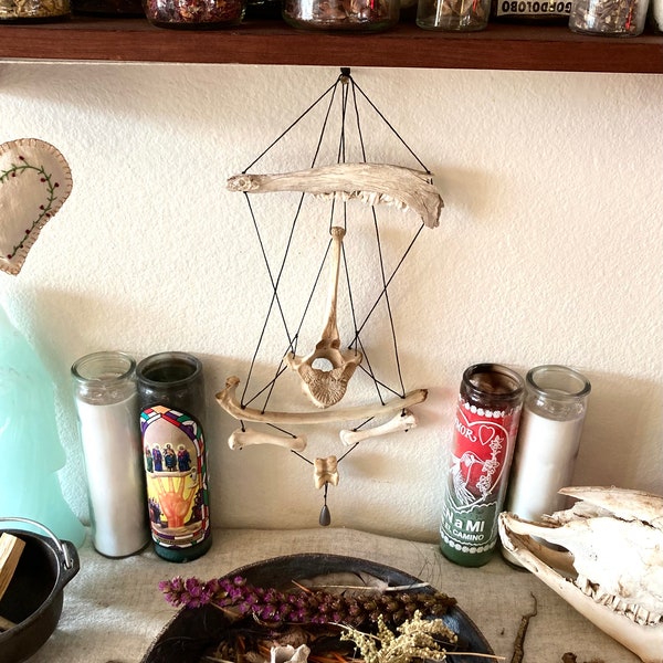 Animal Bones - Etsy