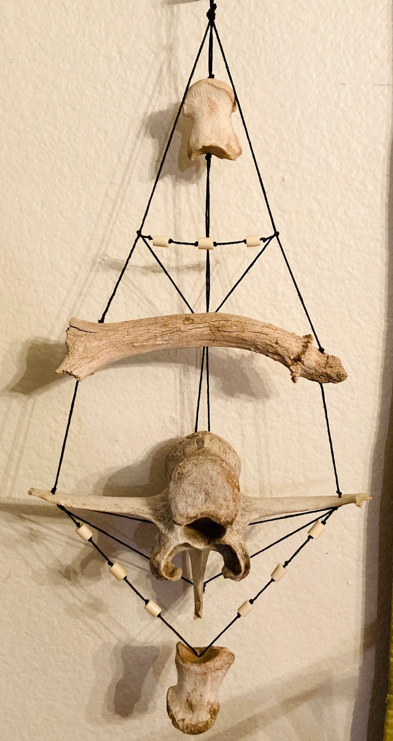 Real Bone Wall Art. Natural Animal Bone. Witchcore Home Decor. Vulture ...