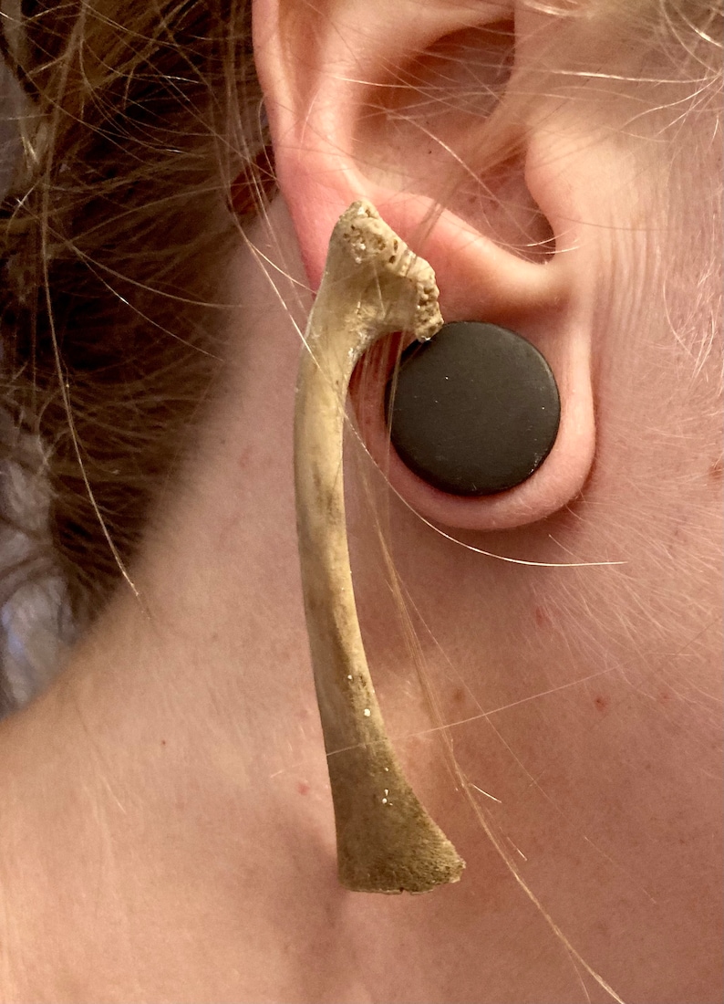 Rib Bone Stud Earrings. Real Animal Bone Earrings. Handmade Nature ...