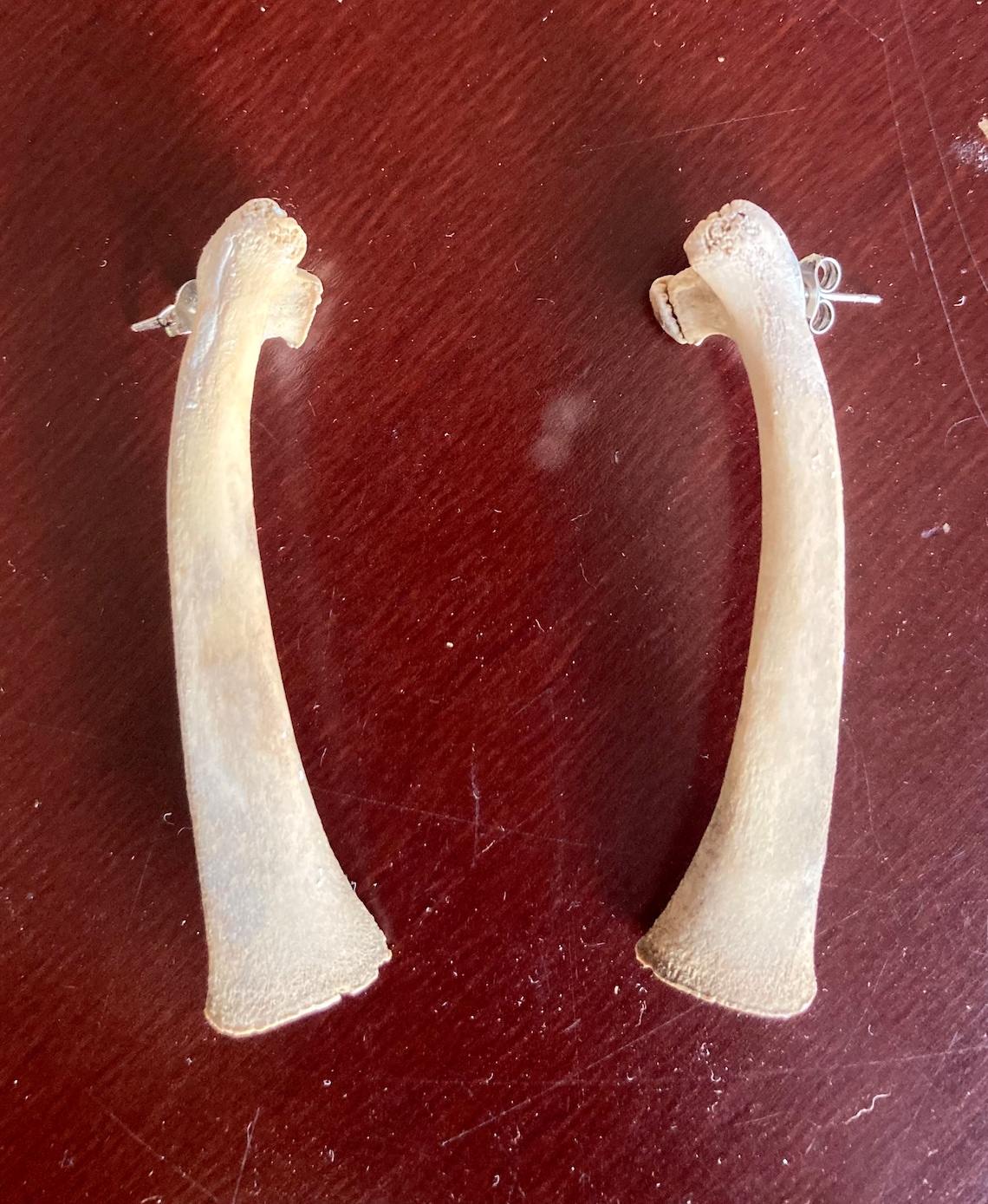 Rib Bone Stud Earrings. Real Animal Bone Earrings. Handmade Nature ...