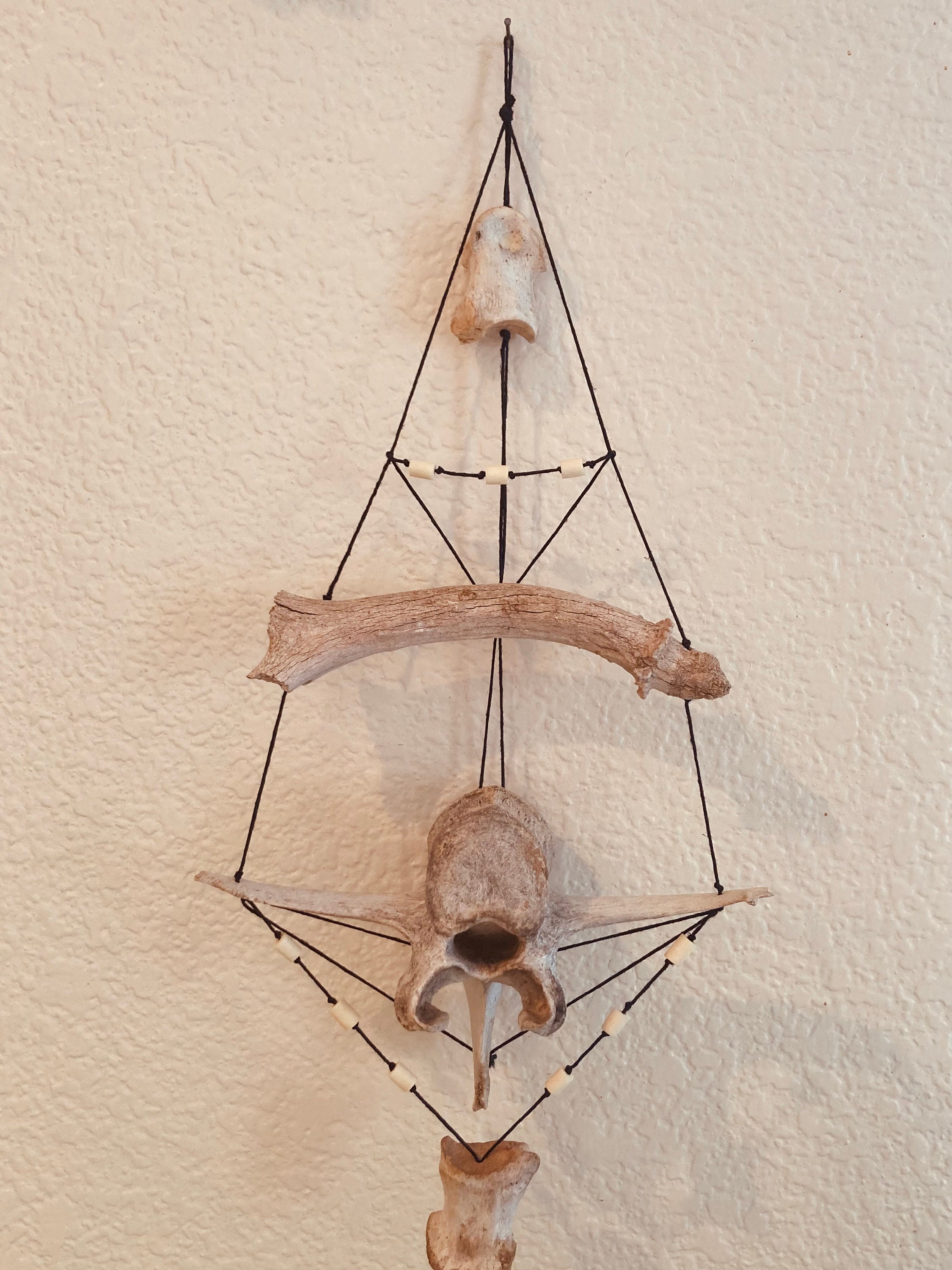 Real Bone Wall Art. Natural Animal Bone. Witchcore Home Decor. Vulture ...