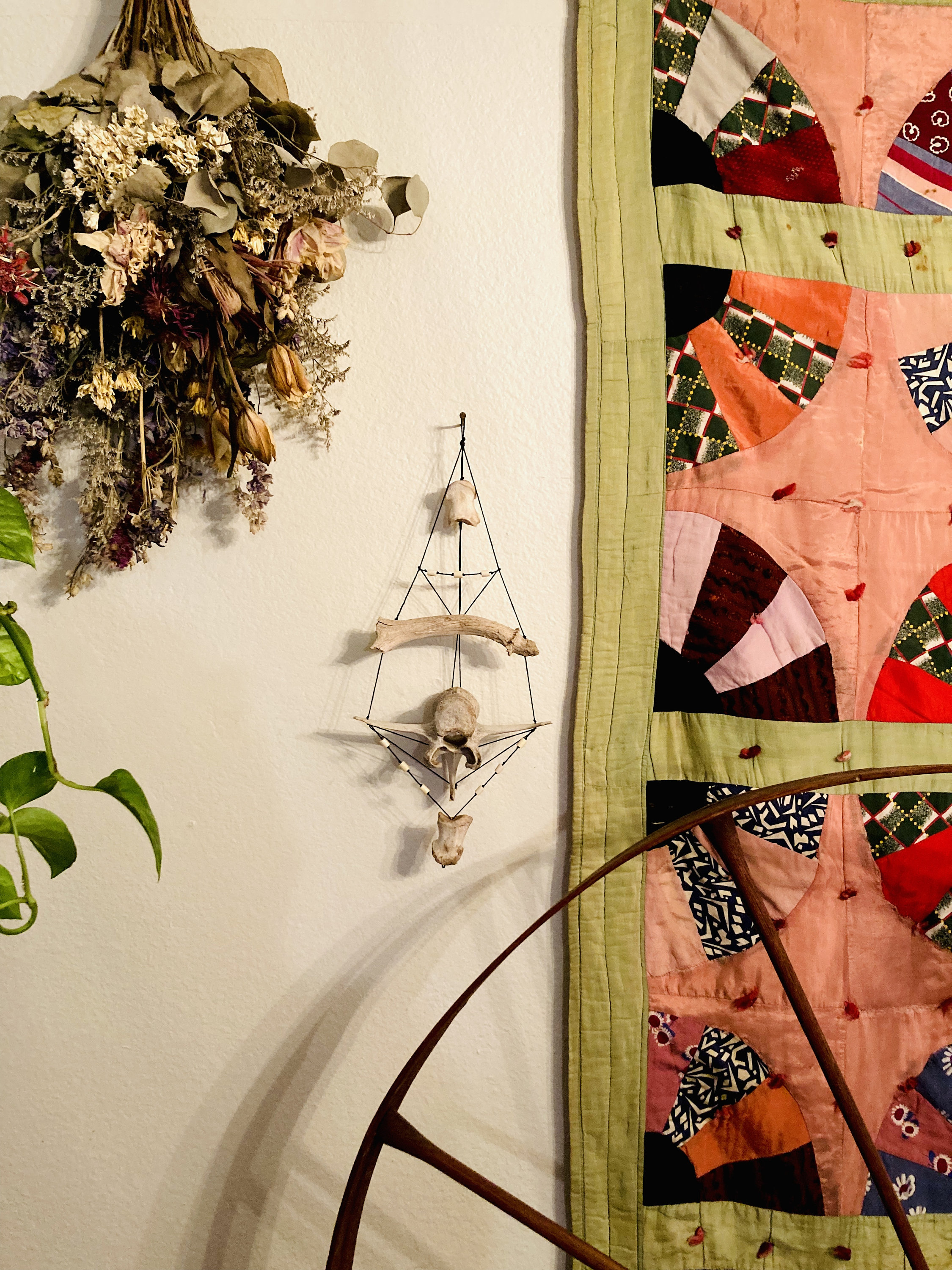 Real Bone Wall Art. Natural Animal Bone. Witchcore Home Decor. Vulture ...