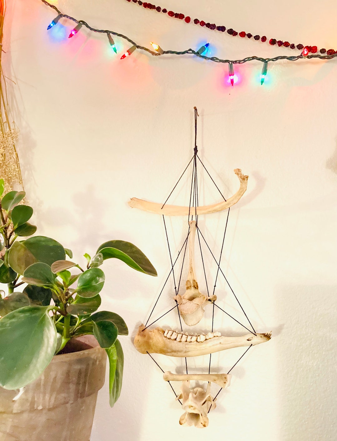 Real Animal Bone Wall Art. Natural Bone. Witchcore. Handmade Art ...