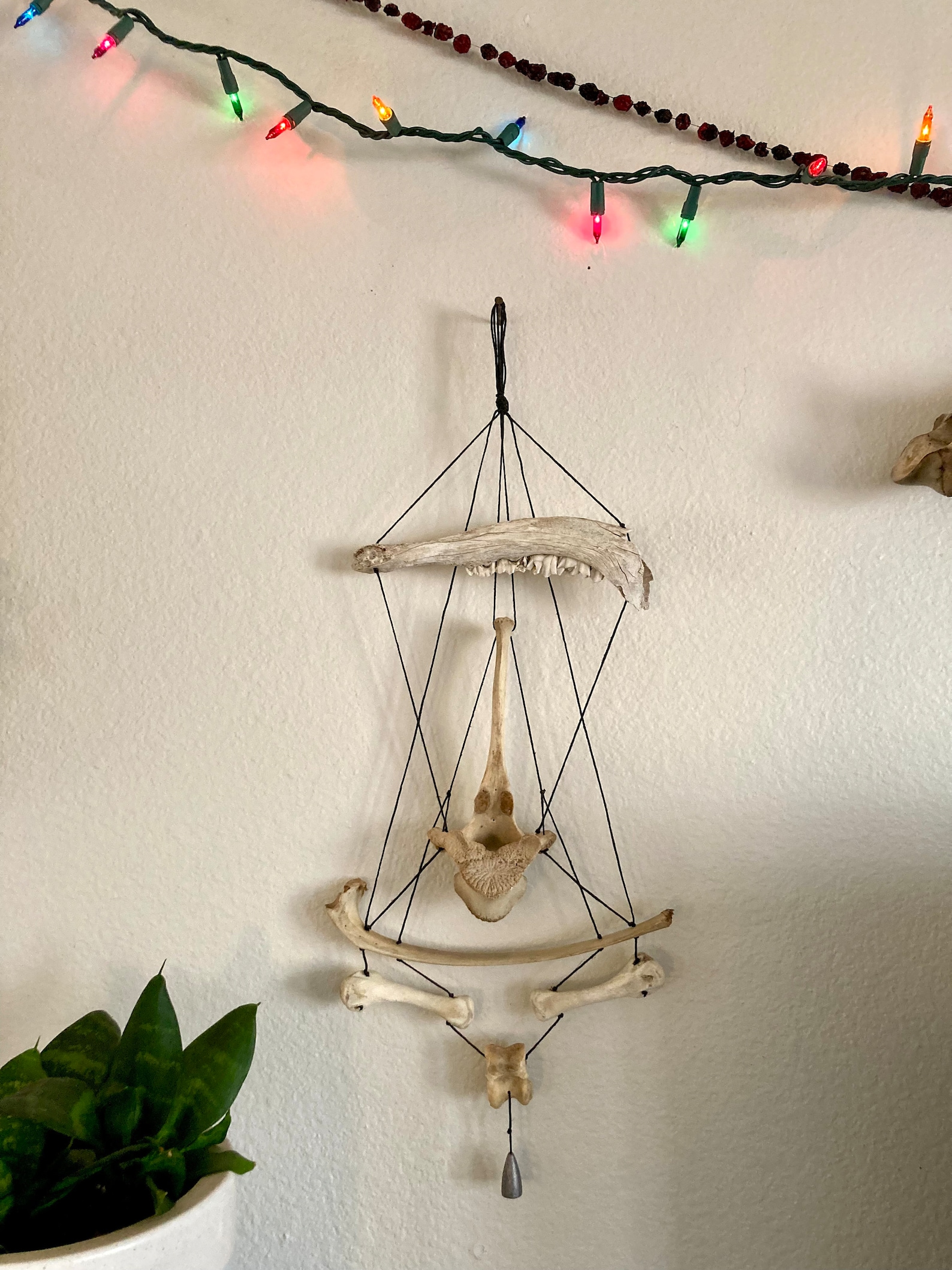 Real Animal Bone Wall Art. Natural Bone. Witchcore. Handmade Art ...