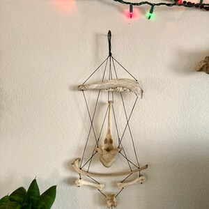 Real Animal Bone Wall Art. Natural Bone. Witchcore. Handmade Art ...