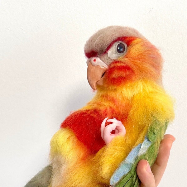 Needle Felted Parrot - Etsy