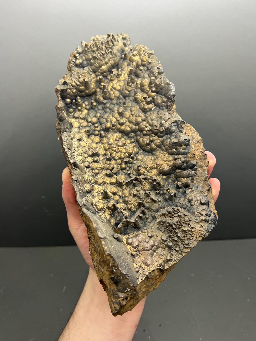 Museum Quality, Very Showy Extra Large Golden Color Botryoidal Goethite ...