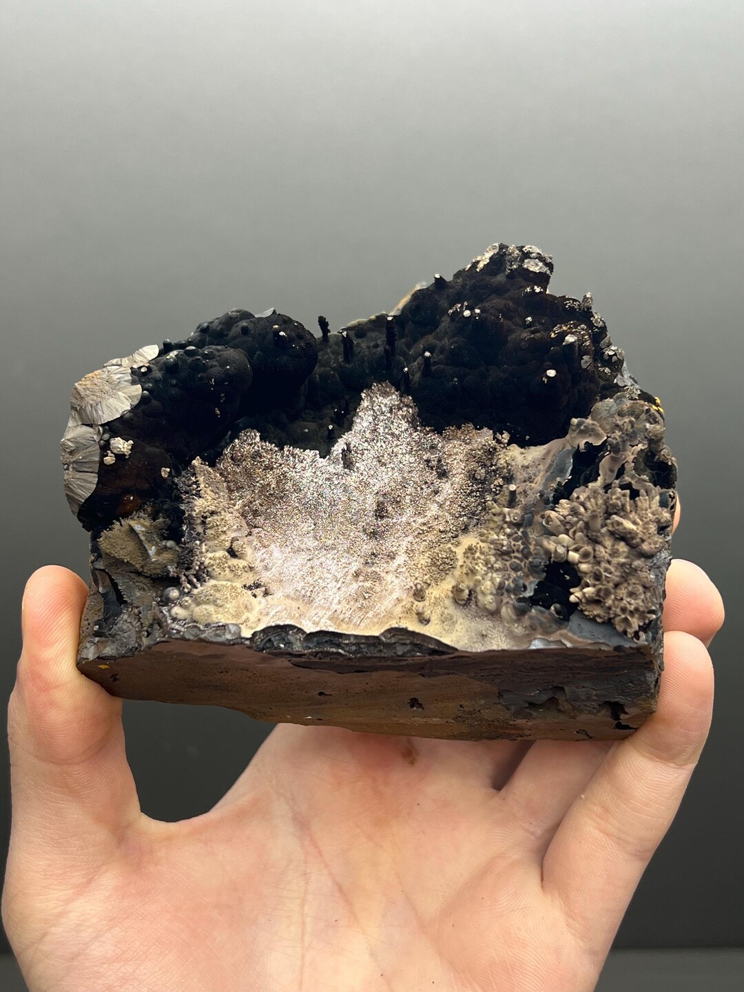 Very Special, Limonite and Specularite on Stalactite and Botryoidal ...