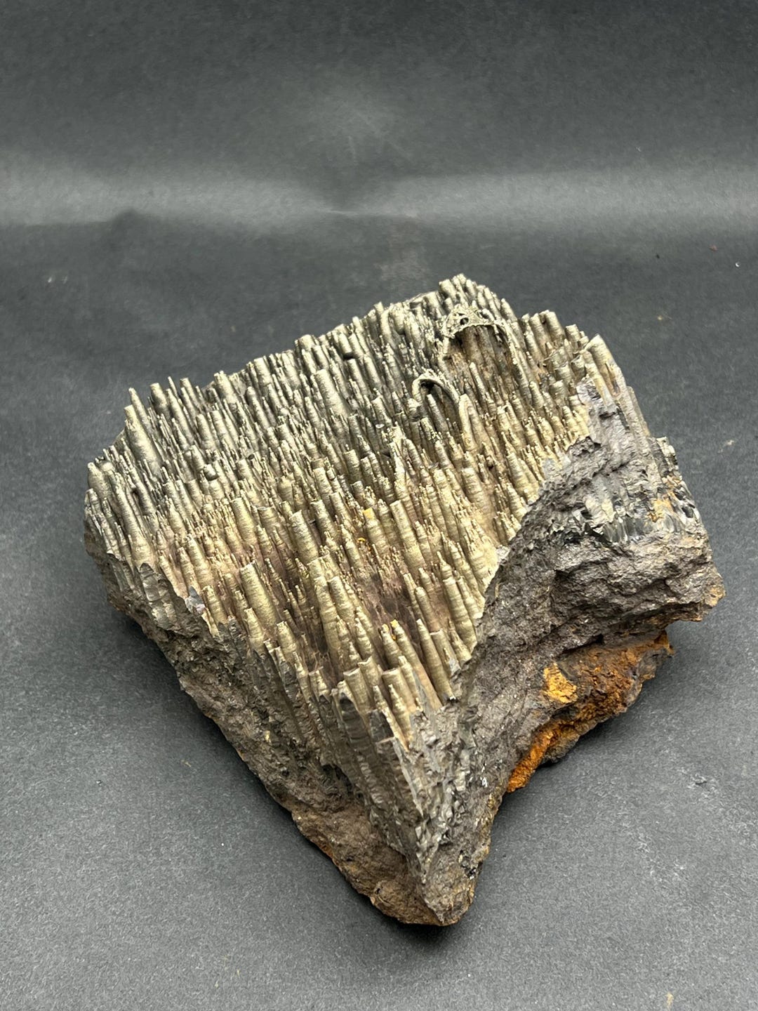 Museum Quality! Stalactite Forest Golden Color Goethite, for Special ...