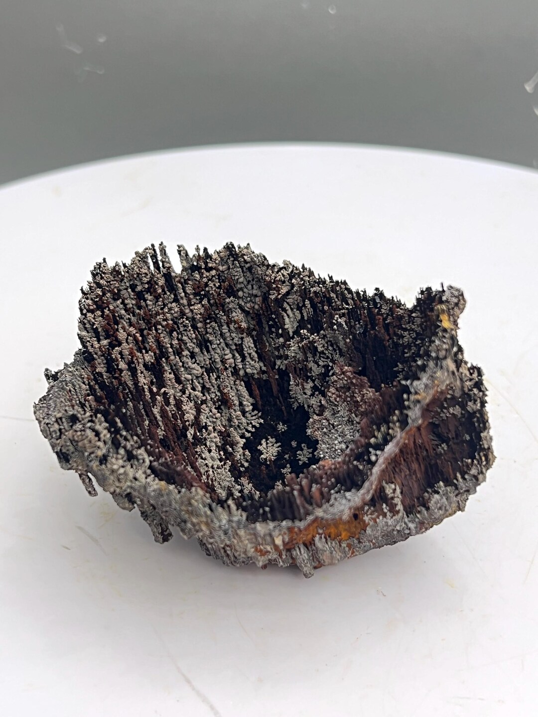 Very Special! Cave Shaped Limonite and Specularite on Stalactite ...