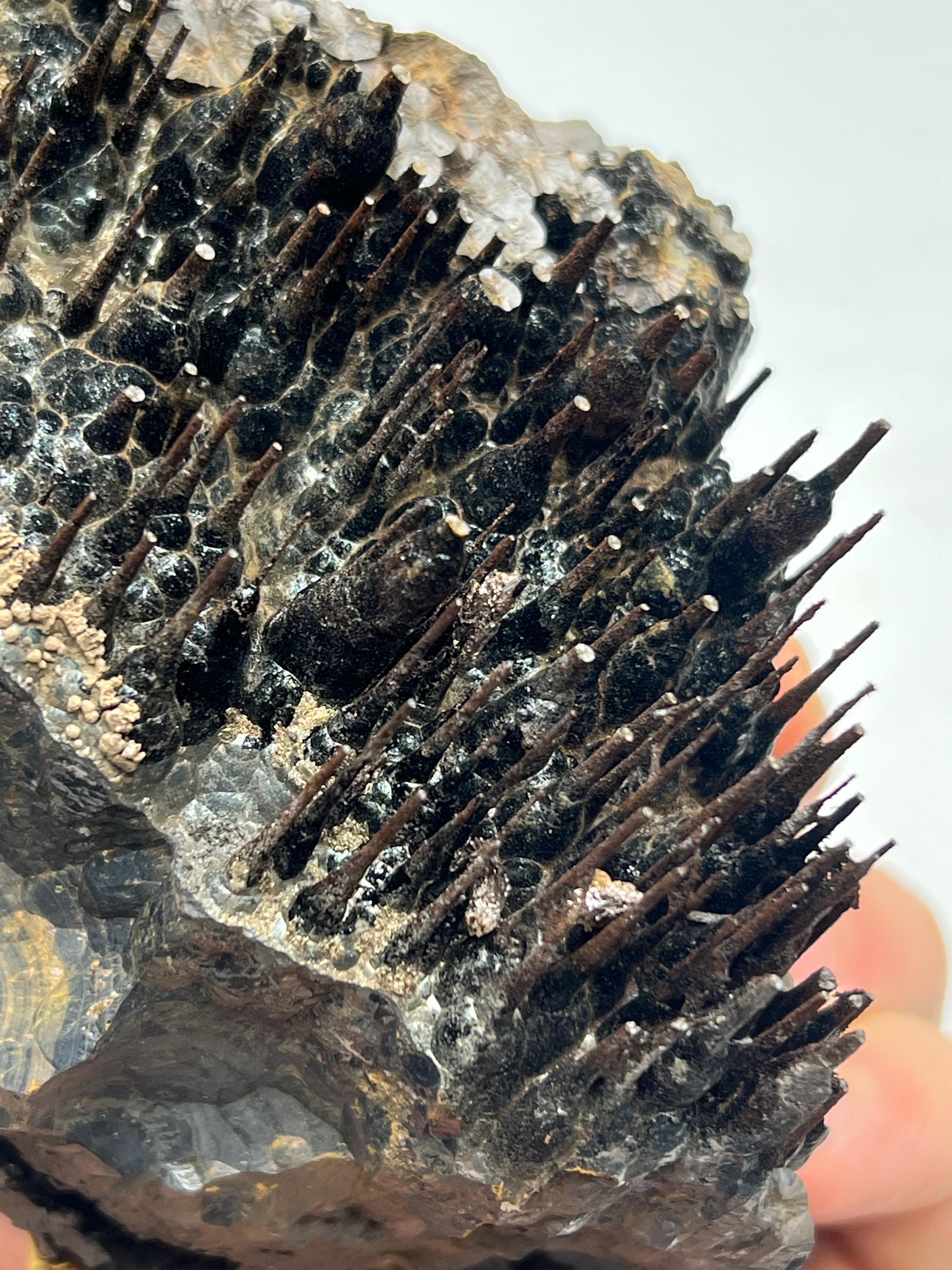Museum Quality, Very Showy Limonite and Specularite on Stalactite ...