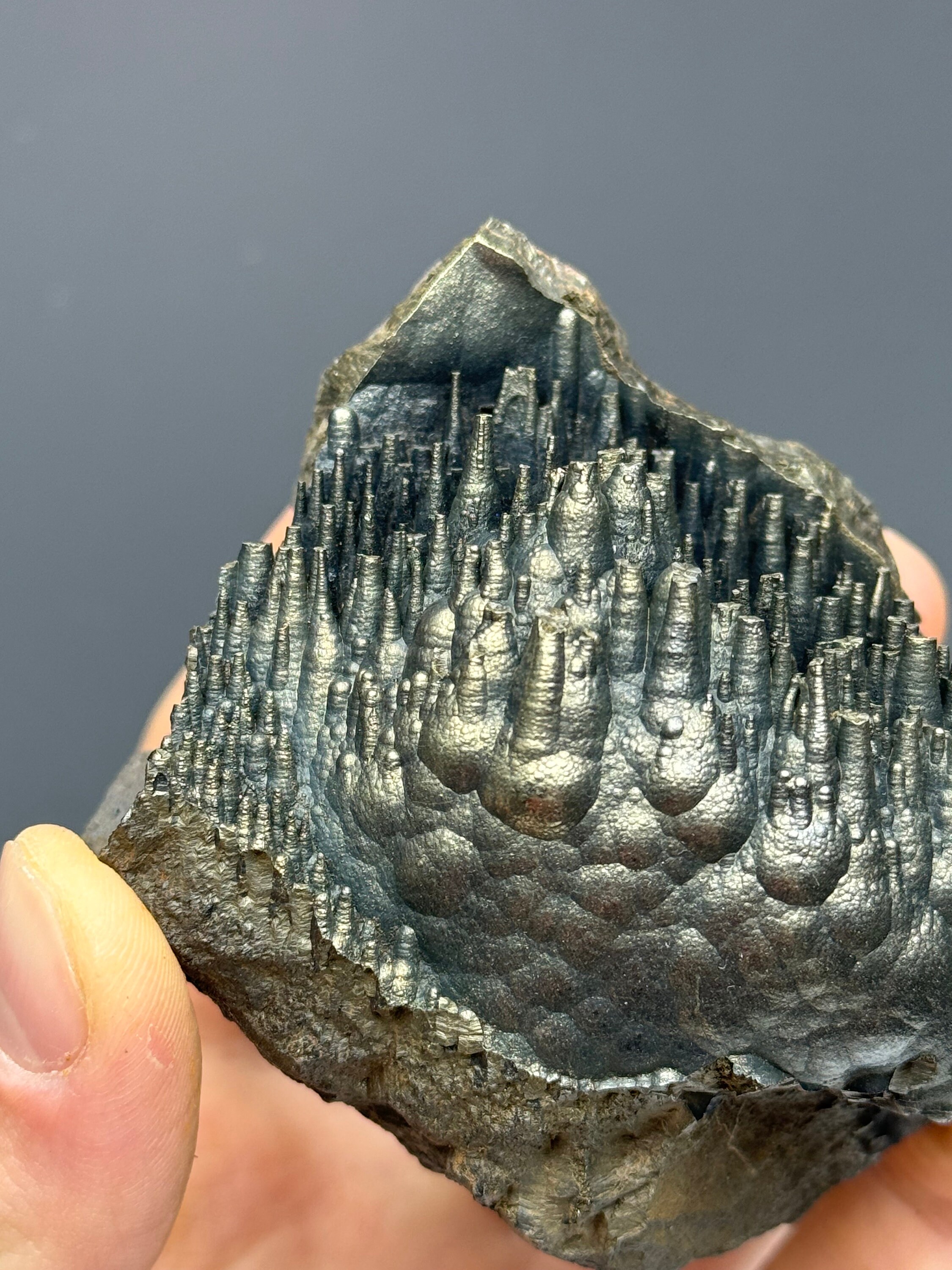 Museum Quality Very Rare Forest Stalactite Golden Color Hematite ...