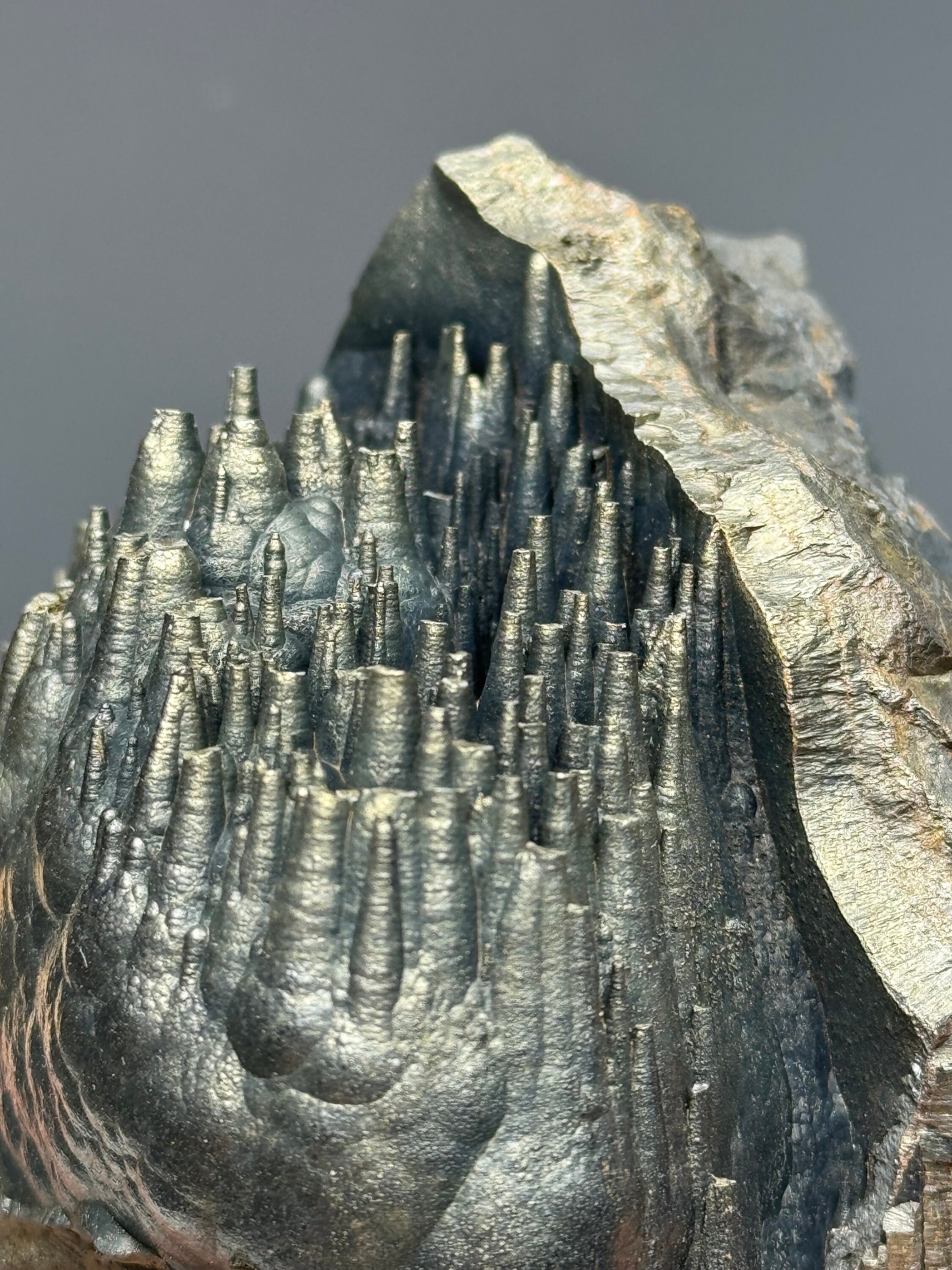 Museum Quality Very Rare Forest Stalactite Golden Color Hematite ...