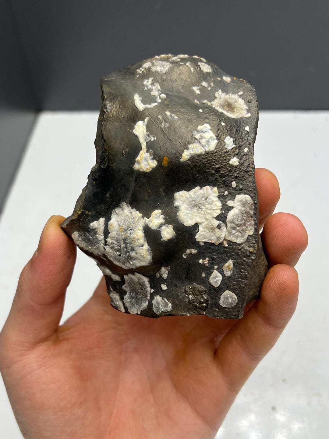 Museum Quality, Very Showy Piece, Crystal Calcite on Golden Color ...