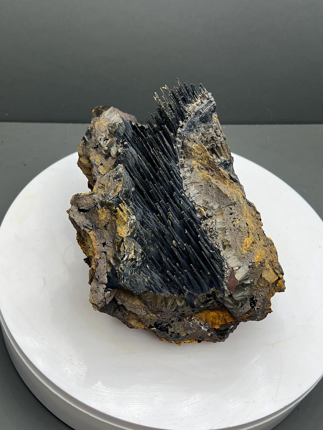 Museum Quality!! Very Showy Stalactite Goethite Mineral, for Special ...