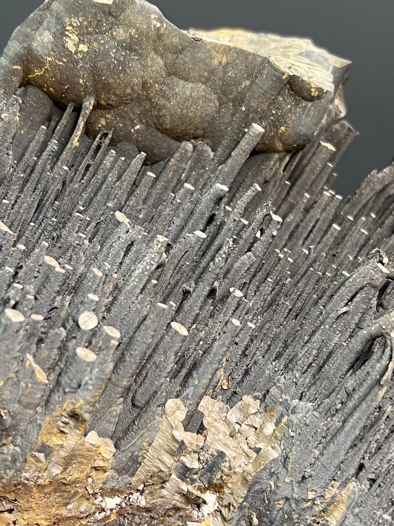 Museum Quality Very Special Stalactite Goethite - Etsy