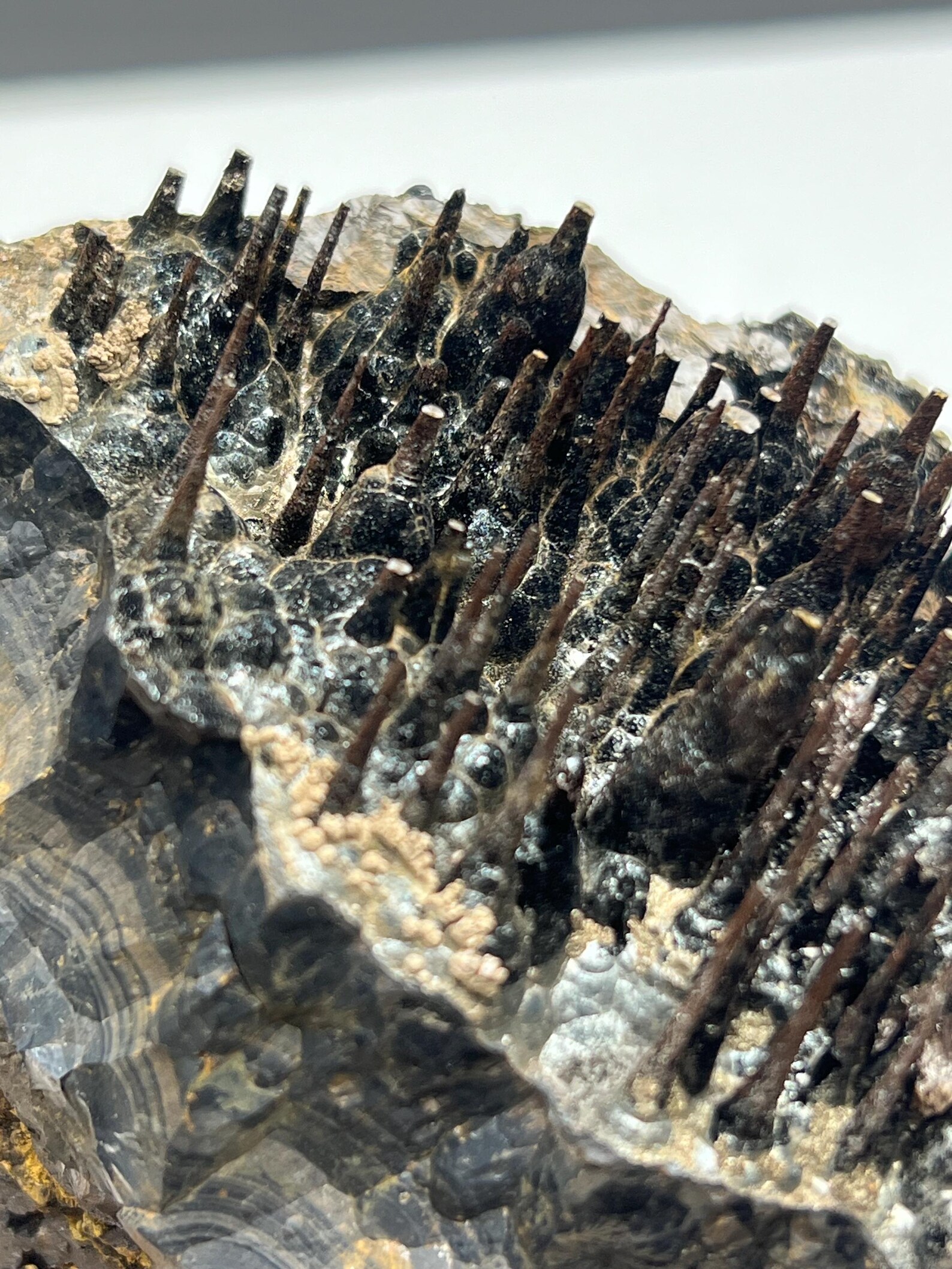 Museum Quality, Very Showy Limonite and Specularite on Stalactite ...