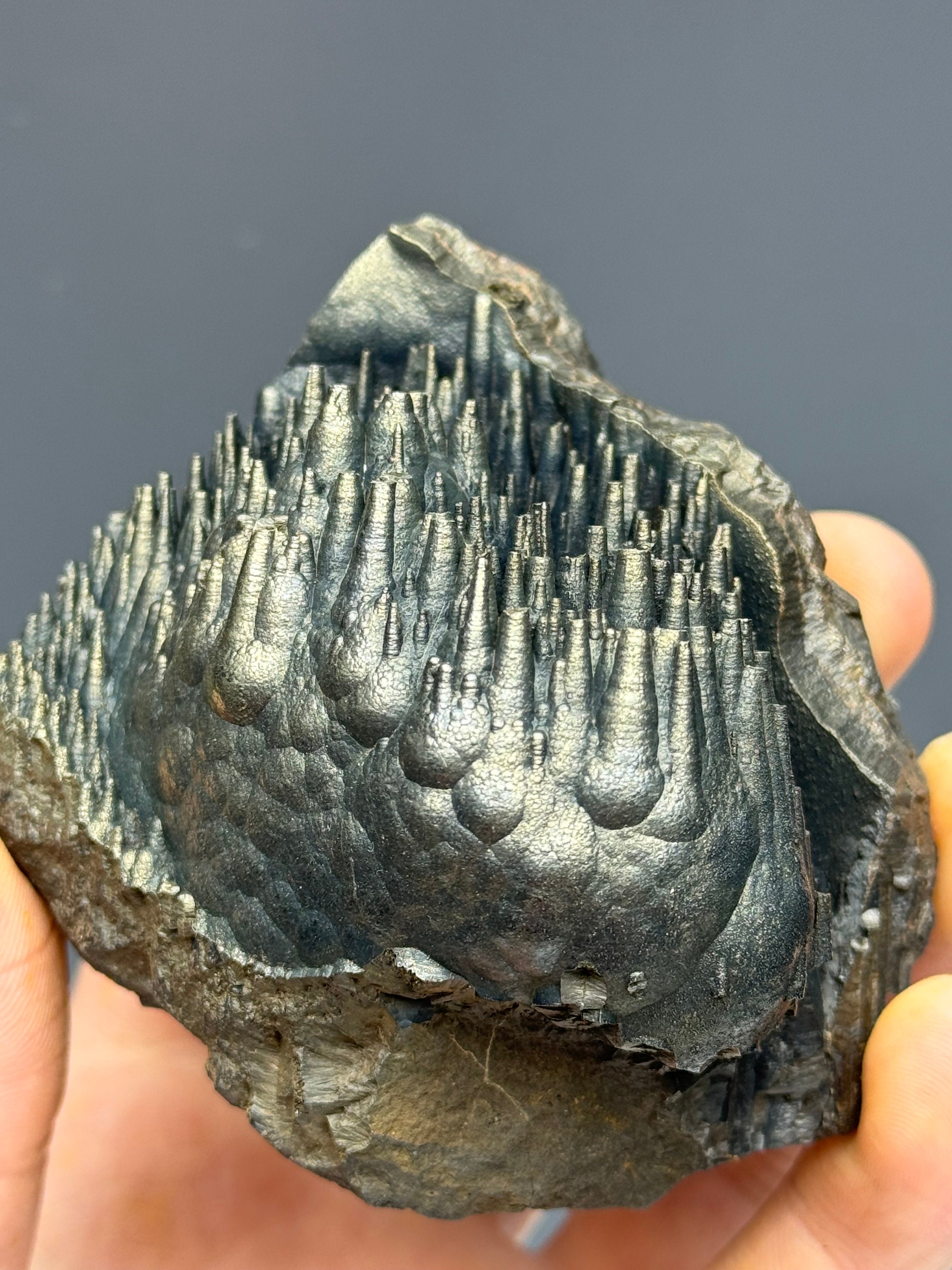 Museum Quality Very Rare Forest Stalactite Golden Color Hematite ...