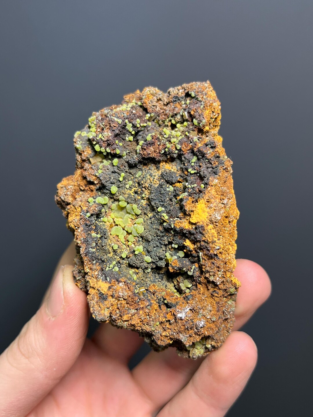Mexican Mimetite Specimen – Botryoidal Mineral, Honey-yellow Crystals ...