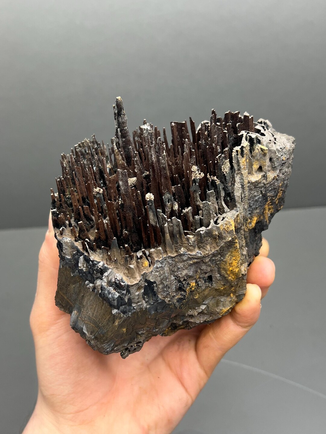 Museum Quality, Very Showy Limonite on Stalactite Goethite, for Special ...