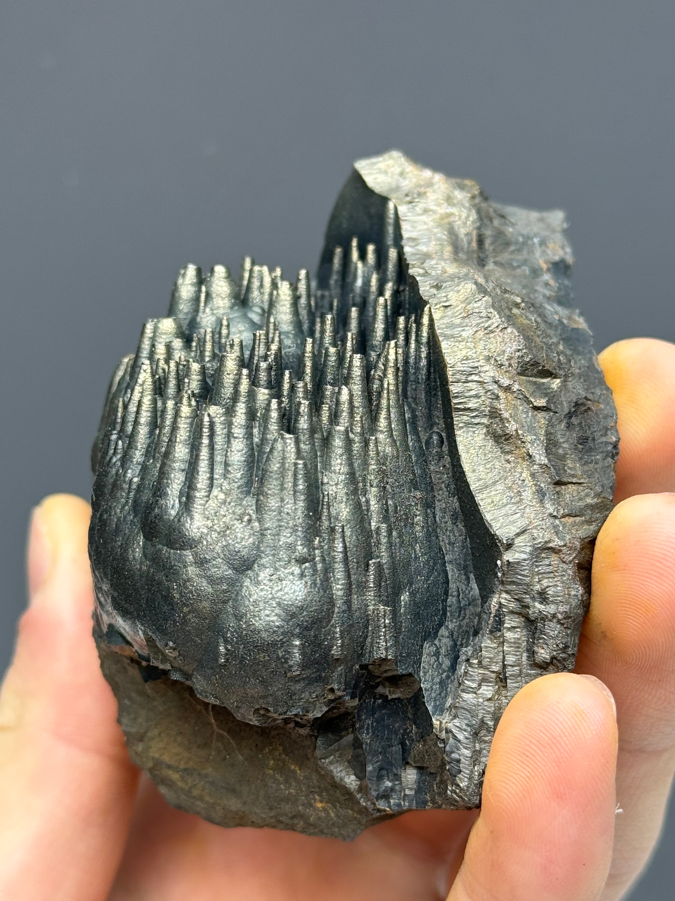 Museum Quality Very Rare Forest Stalactite Golden Color Hematite ...