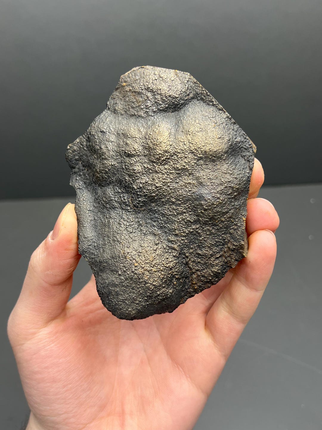 Museum Quality, Very Special Golden Color Botryoidal Goethite, for ...