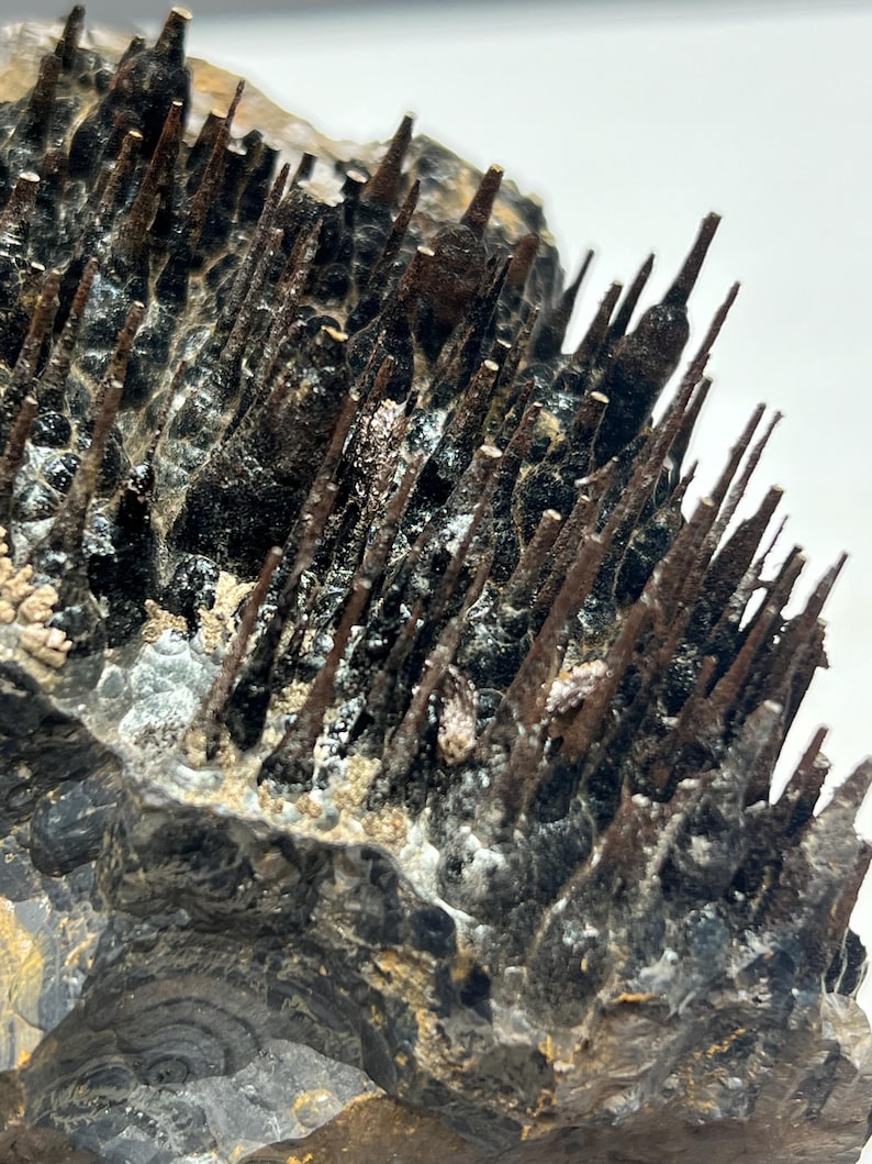 Museum Quality, Very Showy Limonite and Specularite on Stalactite ...