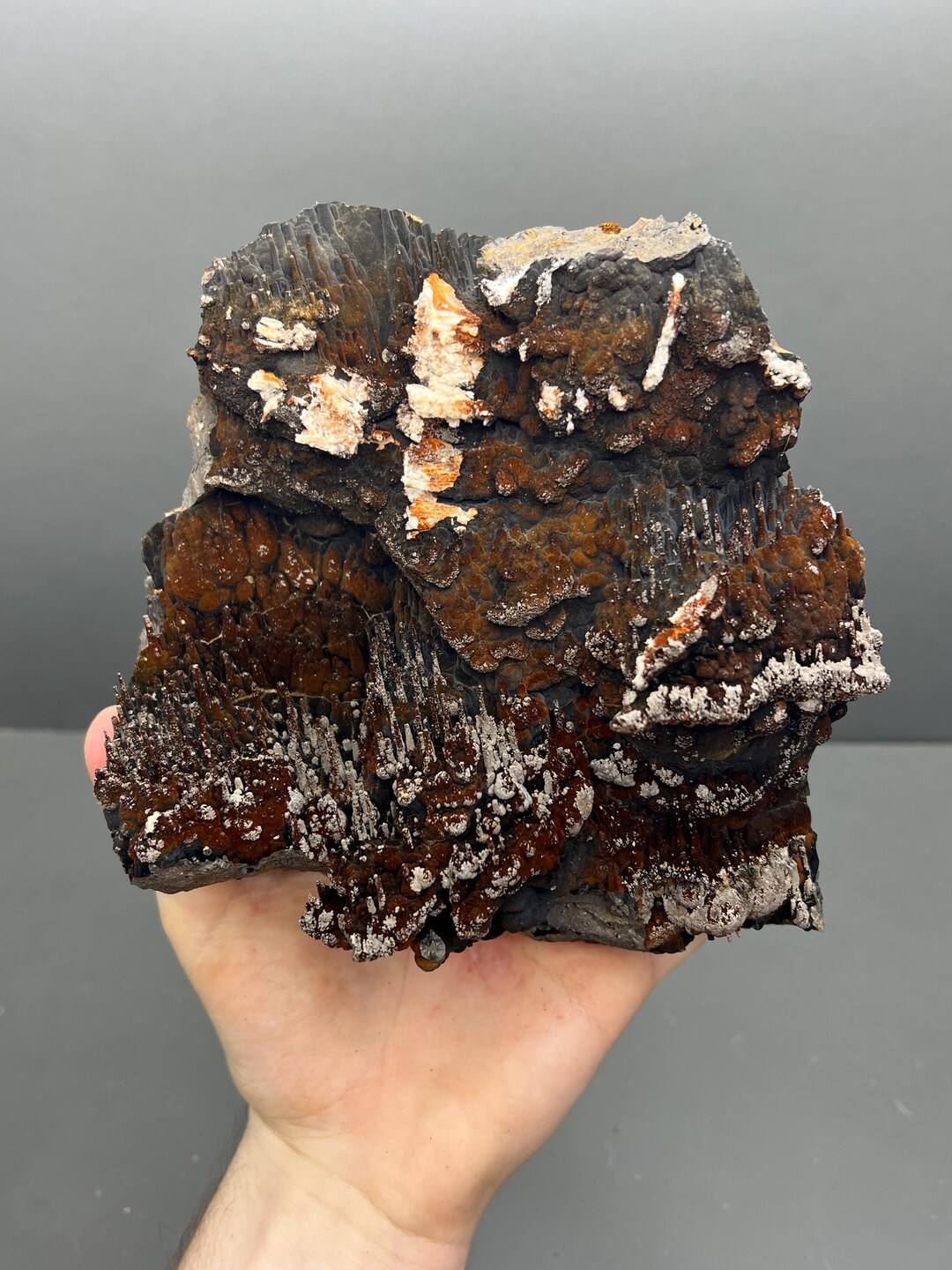 Museum Quality, Very Showy Large Size Limonite and Specularite on ...
